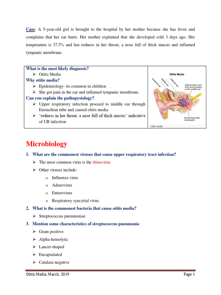 CASE 37 Otitis Media 010320103456 | PDF | Beta Lactamase | Penicillin
