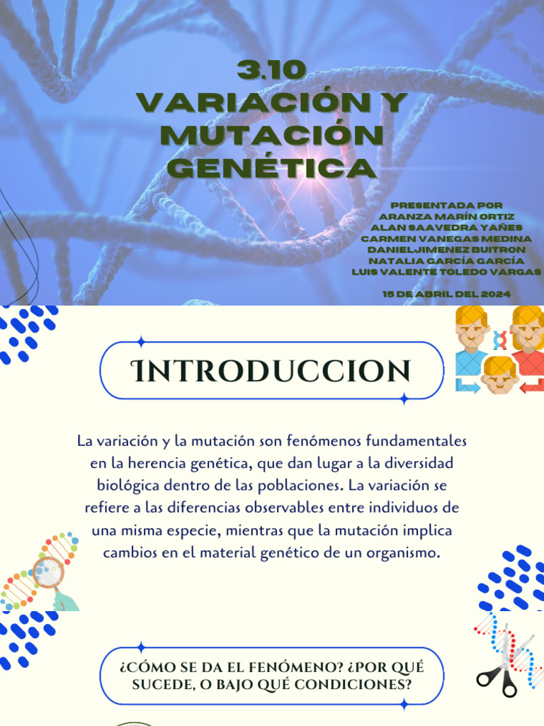 Variación y mutación genética explicadas | PDF | Mutación ...