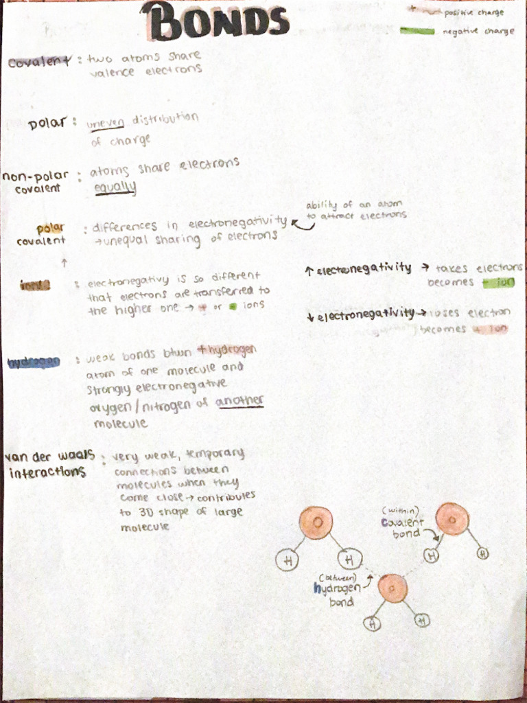 Chemistry of Life - Bonds | PDF