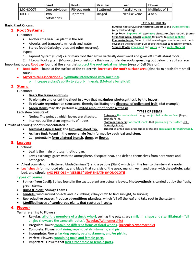 Plant Structure and Functions Guide | PDF | Leaf | Tissue (Biology)
