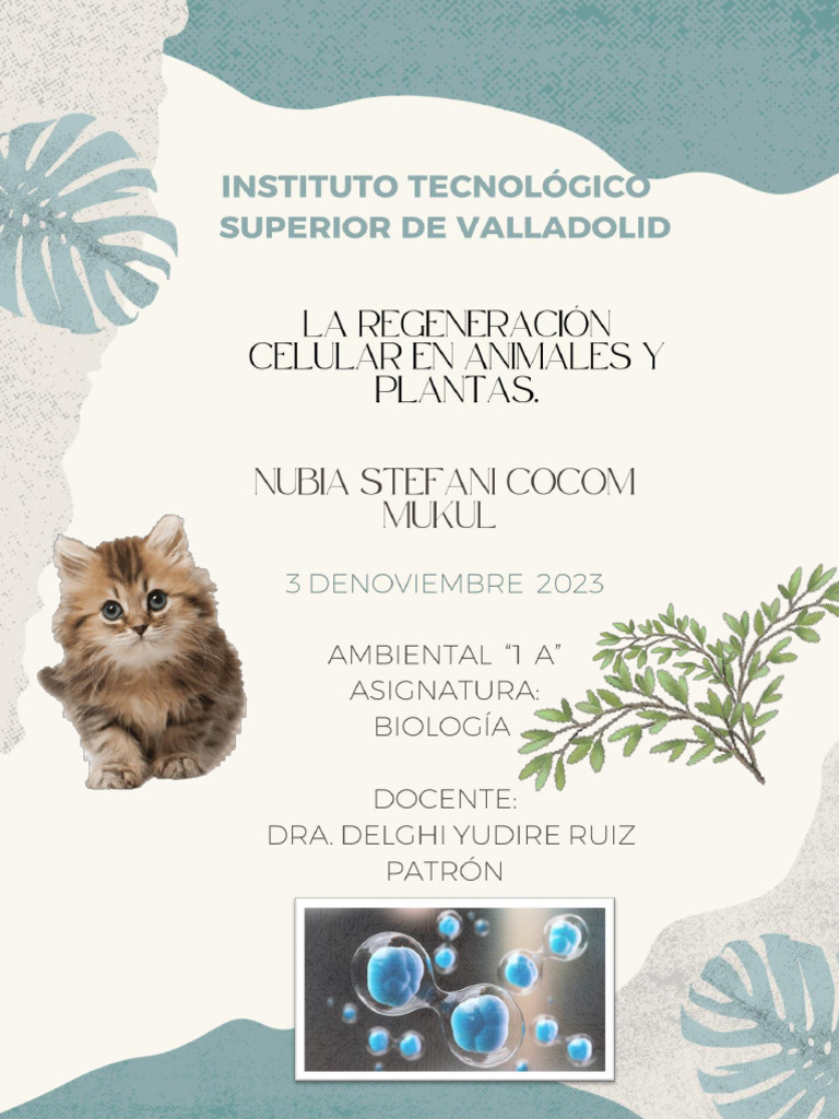 Tipos de Regeneración en Animales | PDF | Regeneración (biología) | Plantas