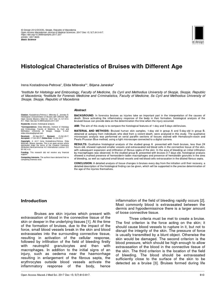 Histological Characteristics of Bruises With Different Age | PDF | Histology | Skin