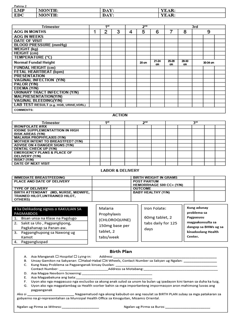 Prenatal Mothers Record Page 2 | PDF