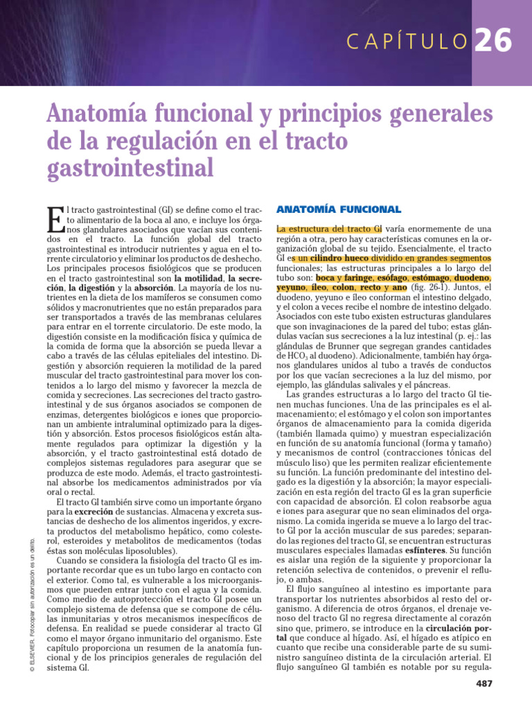 Anatomía y Regulación del Tracto GI | PDF | Digestión | Tracto ...