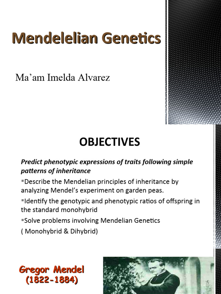 Mendelian Genetics 1 | PDF | Genotype | Dominance (Genetics)