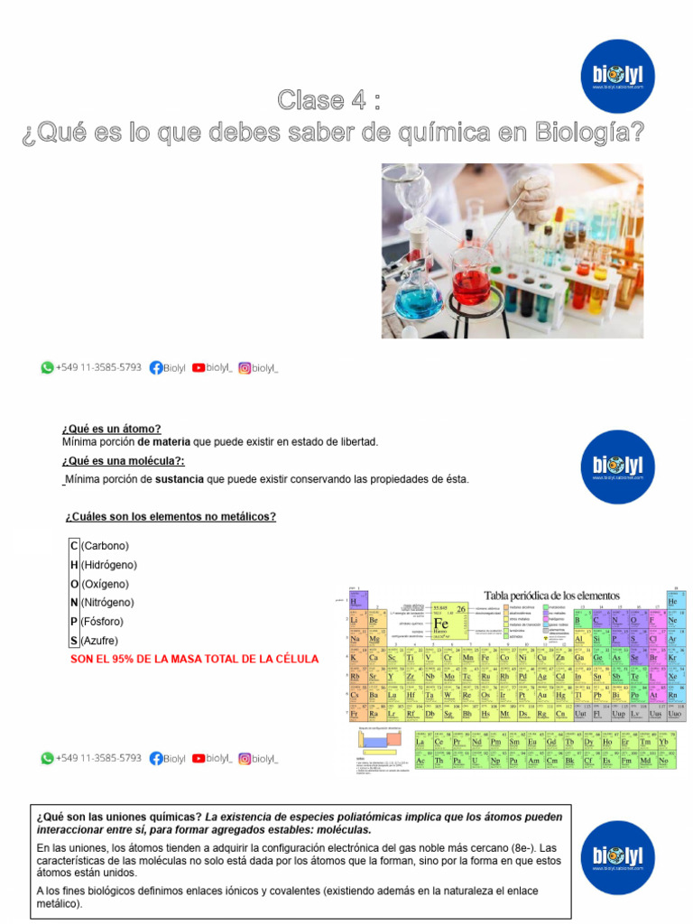 Guia Bio 4 | PDF | Propiedades del agua | Polaridad química
