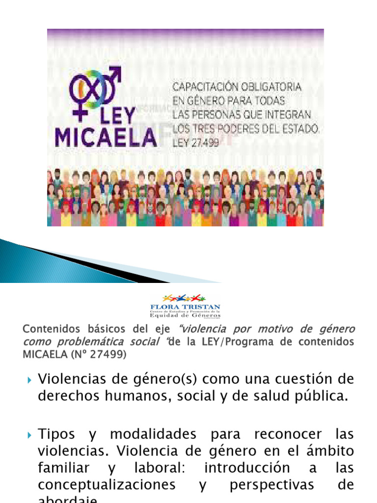3 - Diapositivas Capacitación V.G.Ley Micaela | PDF | La violencia contra las mujeres | Género