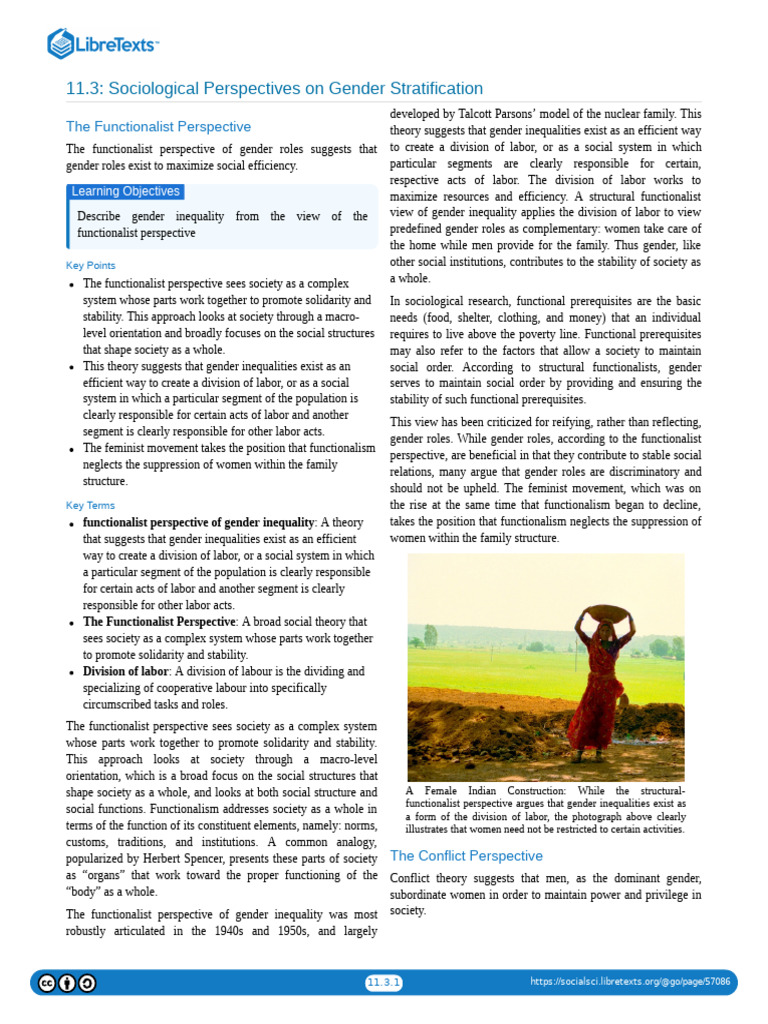 11.03 Sociological Perspectives On Gender Stratification | PDF ...