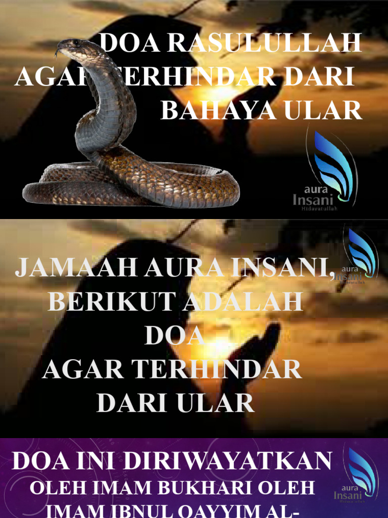 Doa Rasulullah Agar Terhidar Dari Ular | PDF