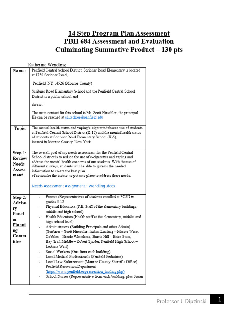 PBH 684 14 Step Program Plan - Wendling | PDF | Mental Health | School ...