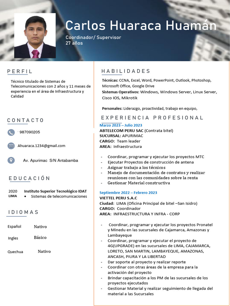 205 Curriculum Vitae Funcional | PDF | Software | Informática