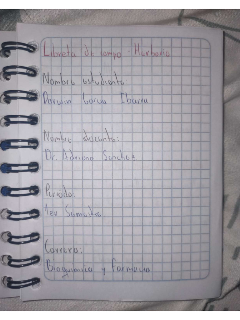 Libreta de Campo | PDF