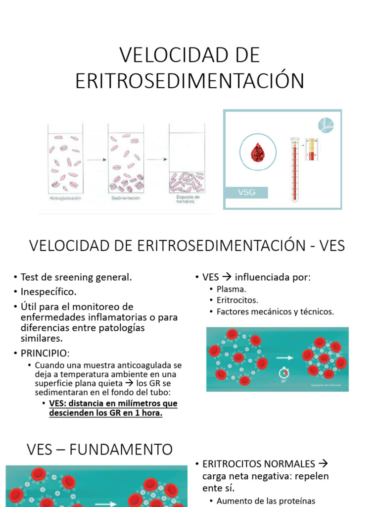 Velocidad de Eritrosedimentación | PDF | Sangre | Hematología