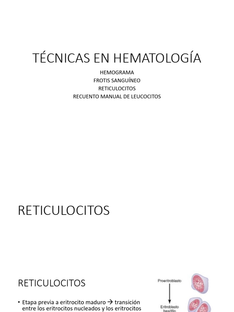Recuento y Análisis de Reticulocitos | PDF | Sangre | Tejido (biología)