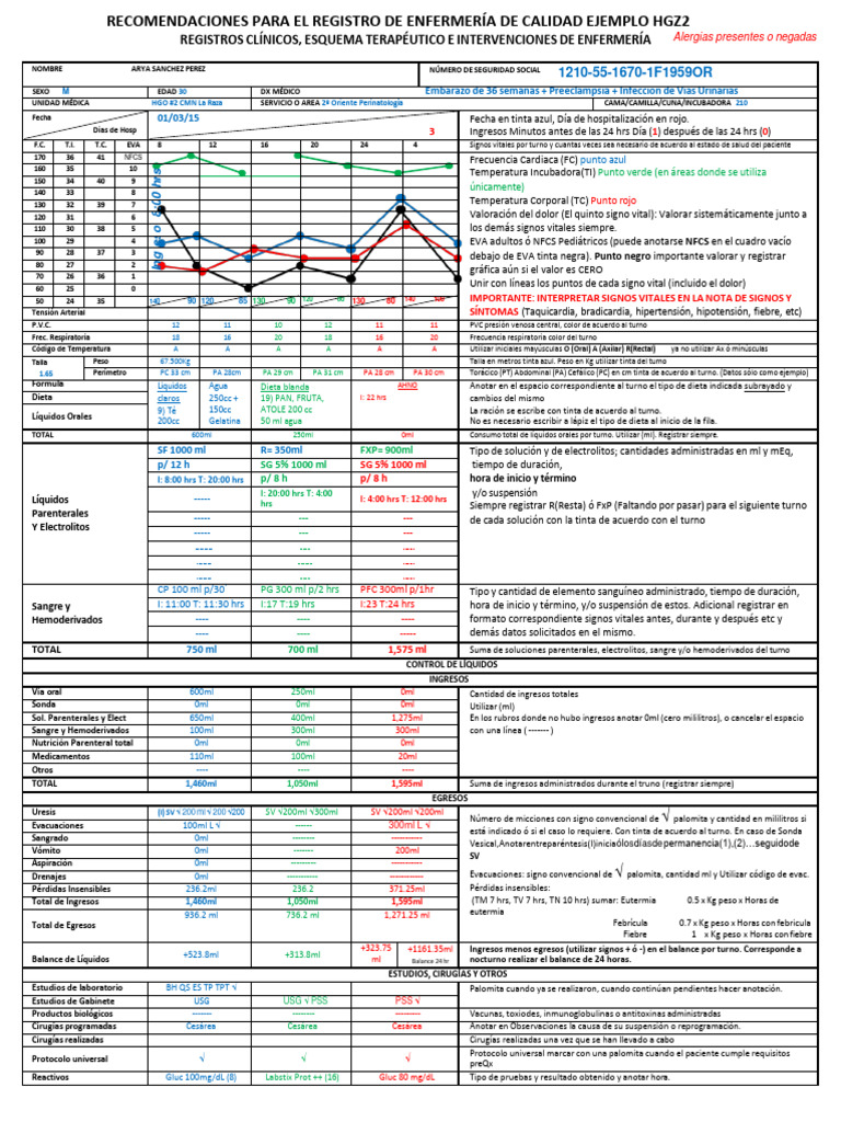 Ejemplo Hoja de Enf | PDF | El embarazo | Medicamentos con receta