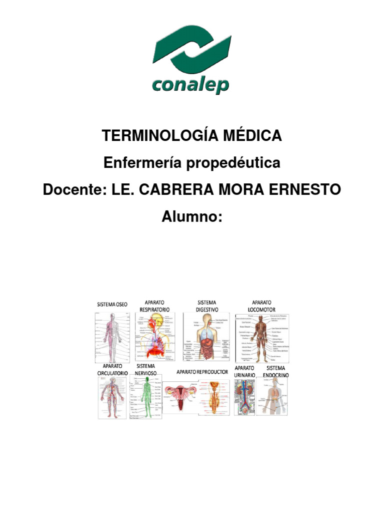 Terminologia Medica | PDF | Corazón | Abdomen