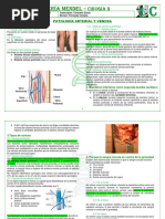 Clasificación CEAP de Insuficiencia Venosa | PDF | Trombo | Vena