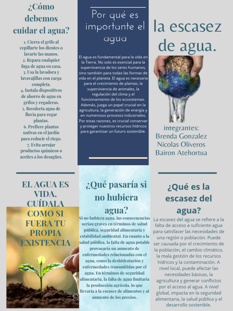 Proyecto Ambiental (Trípticos) | PDF | Agua | Riego