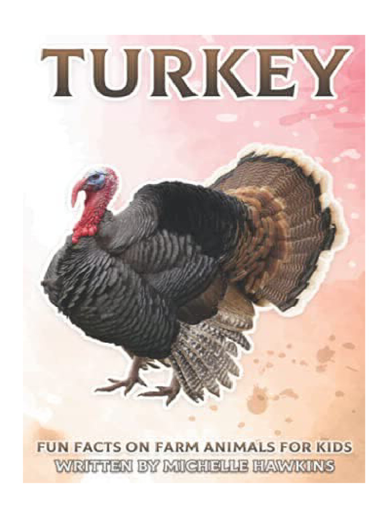 Turkey | PDF