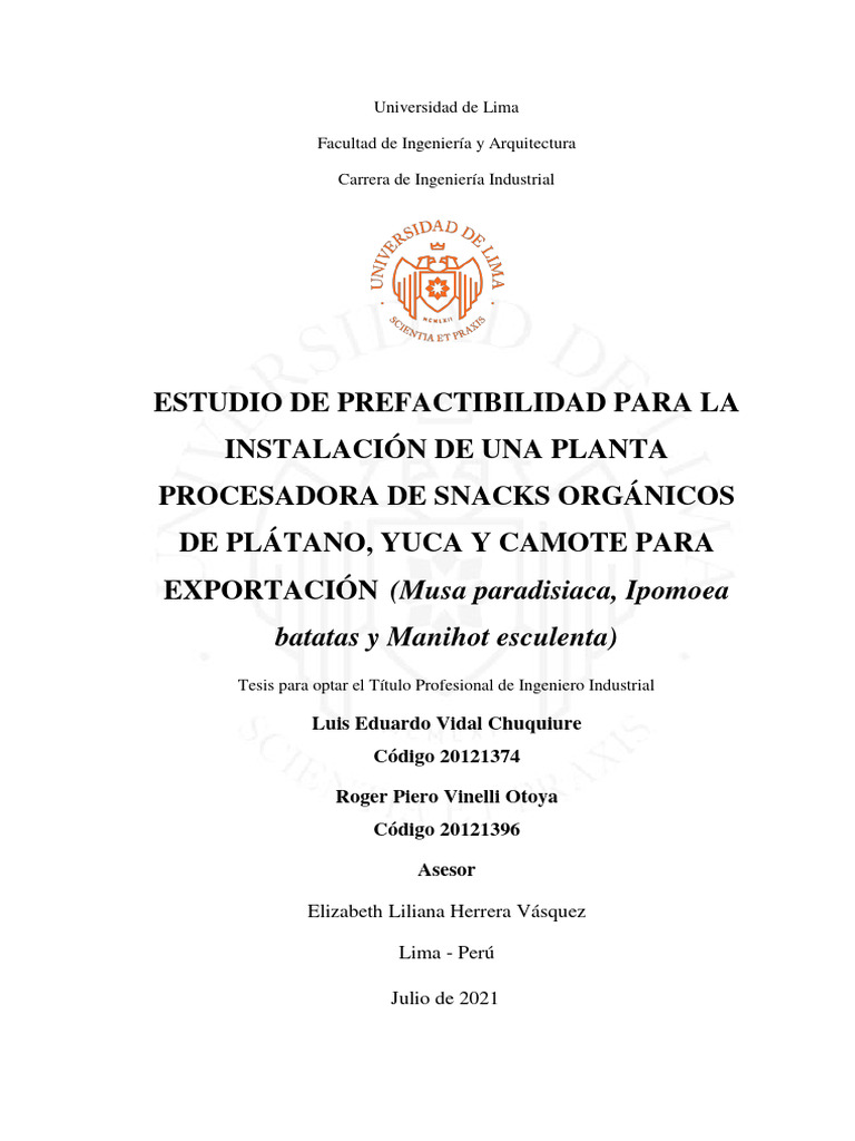 Vidal Vinelli Estudio Prefactibilidad Instalación | PDF | Presupuesto ...