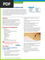 Microscope Use: Letter "E" Lab Guide | PDF | Microscopy | Glass ...