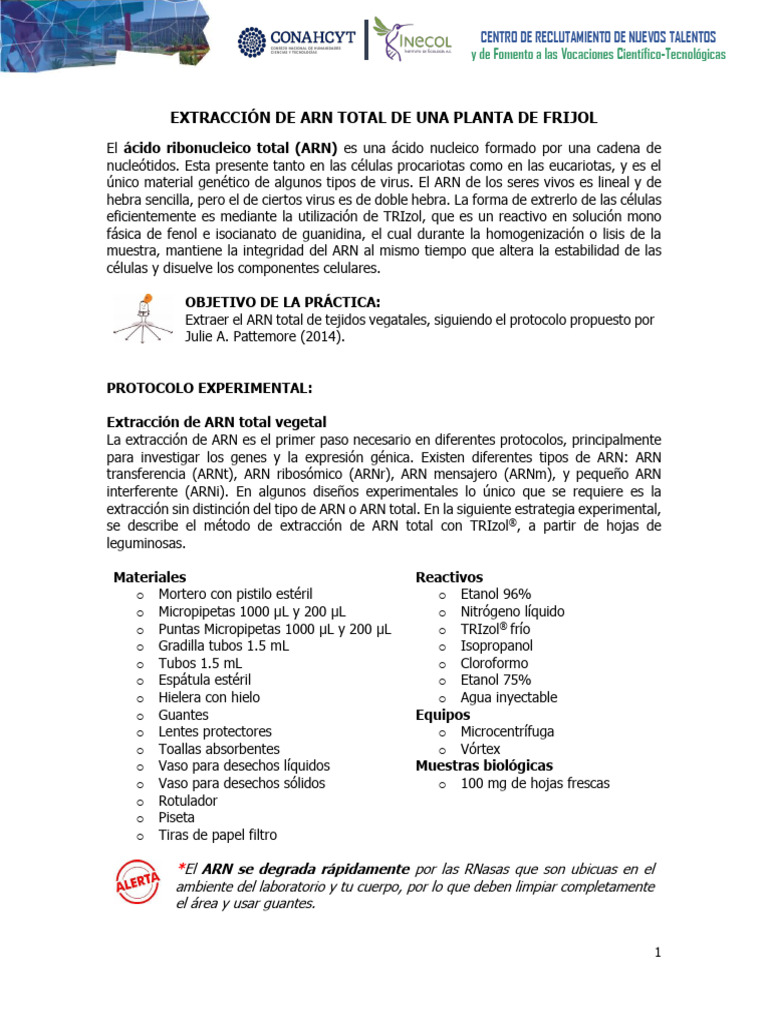 Extraccion ARN Total | PDF | Rna | Biología