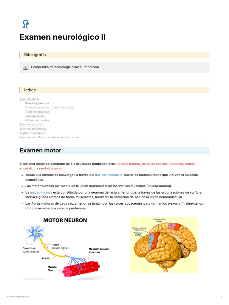 Examen Neurológico II | PDF | Cerebelo | Músculo
