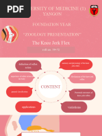 Knee Jerk Reflex Pathway Explained | PDF