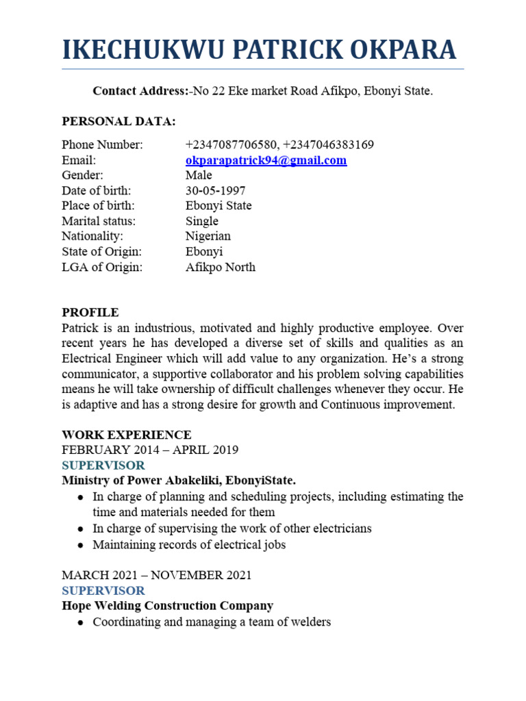 Ikechukwu Patrick Okpara CV | Download Free PDF | Business