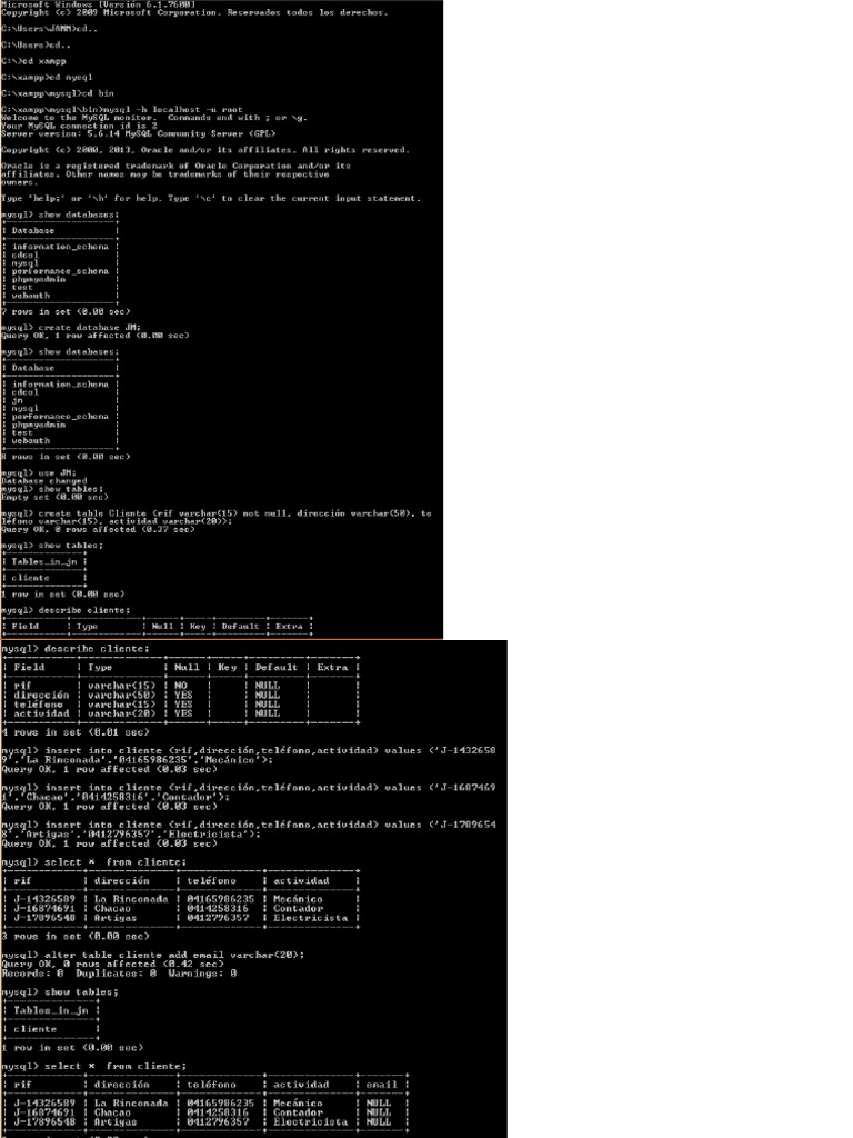 Codigos Base de Datos | PDF