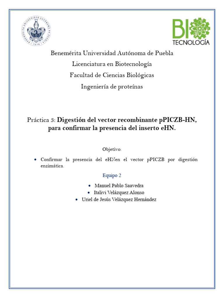 PRÁCTICAIII - Digestión Del Vector Recombinante pPICZB-HN | PDF ...