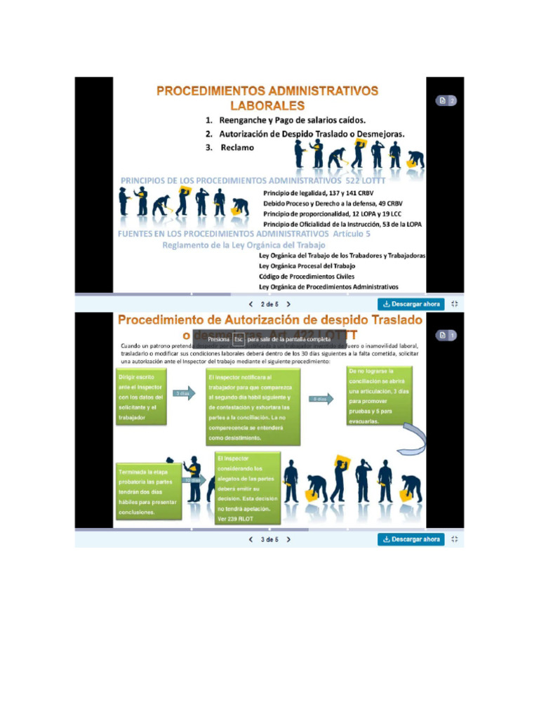 Esquema de Procedimiento | PDF