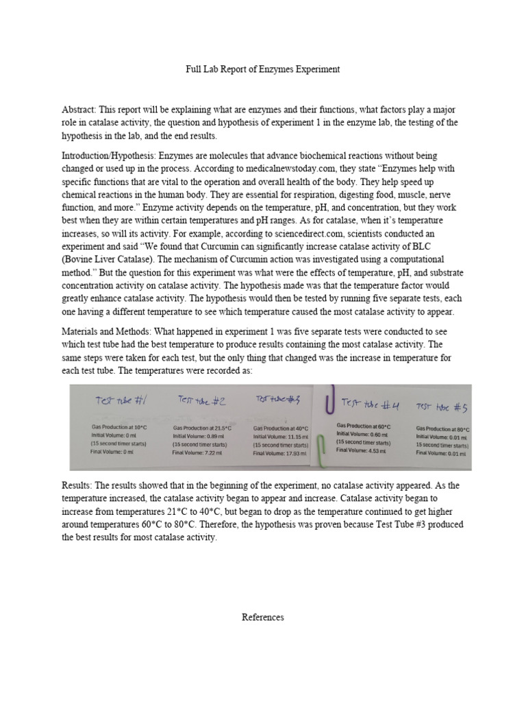 Full Lab Report of Enzymes Experiment | PDF | Enzyme | Catalase