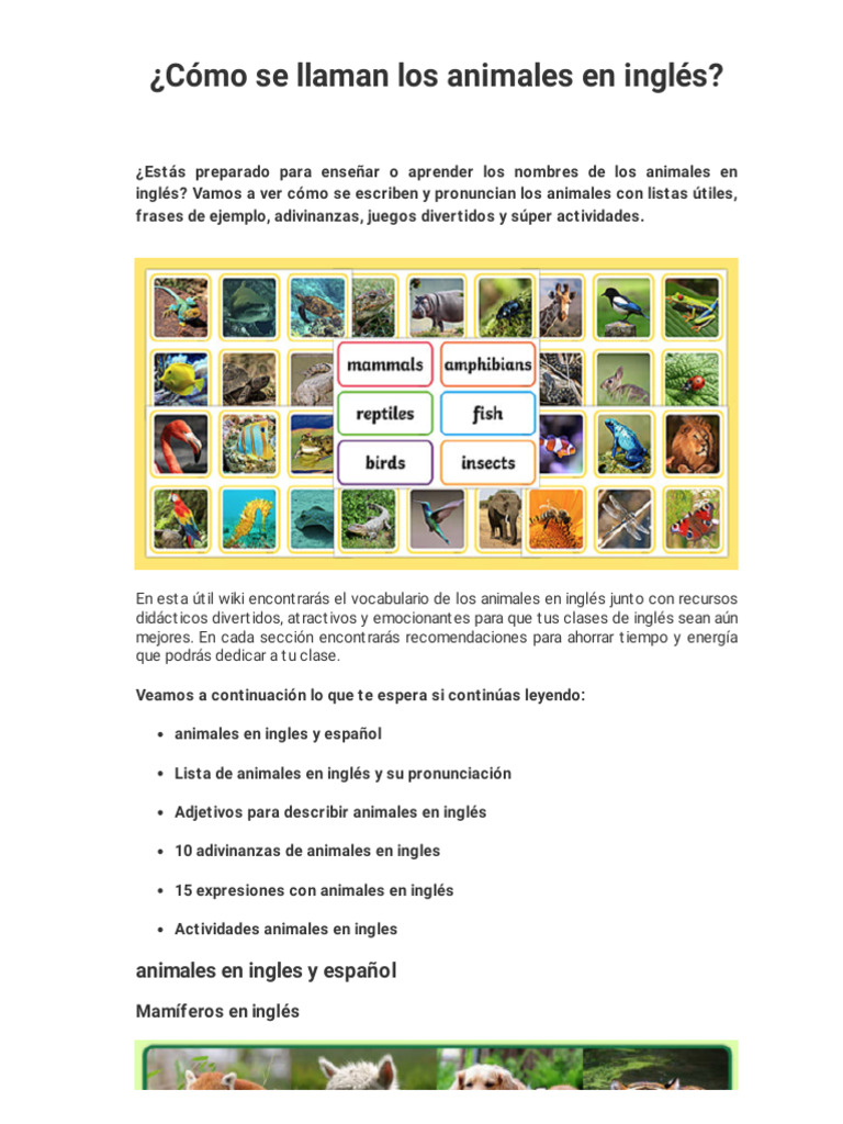 Recursos para enseñar animales en inglés | PDF | Zoología