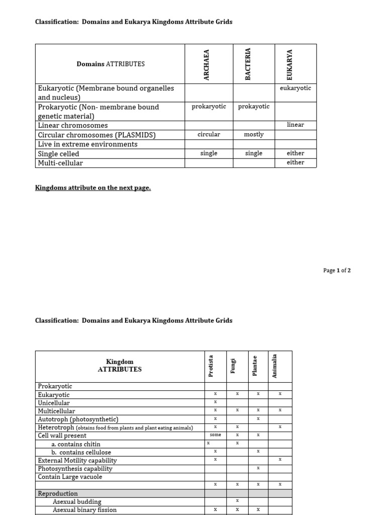 Classification Domain Kingdoms AttributeGrid | PDF | Eukaryotes ...