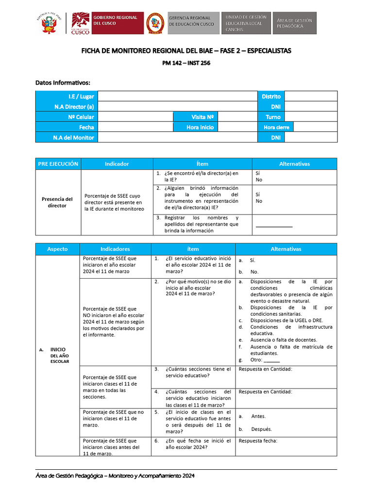 Ficha de Monitoreo Regional BIAE Fase 2 - Especialistas | PDF
