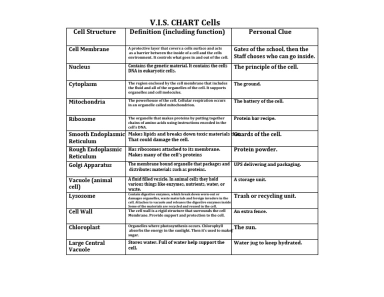 Cells VIS Chart | PDF | Cell (Biology) | Organelle
