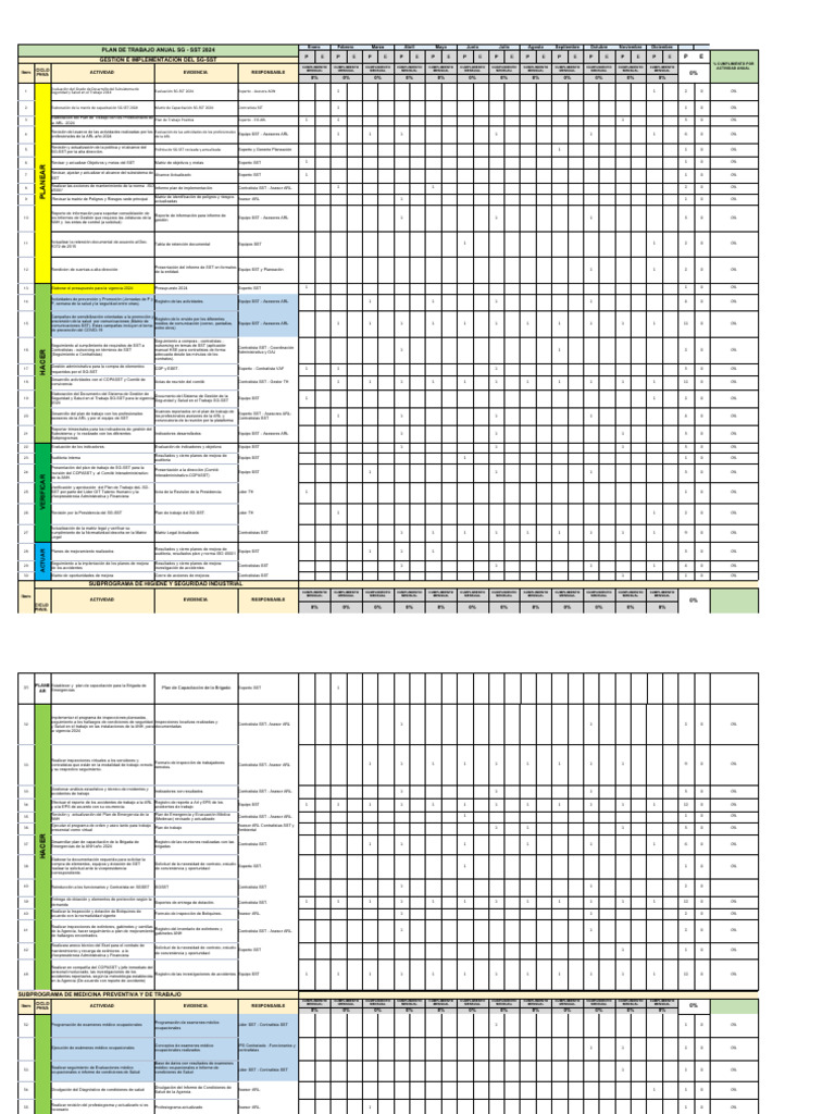 Plan Trabajo Anual SST 2024 | PDF | Auditoría | Medicina