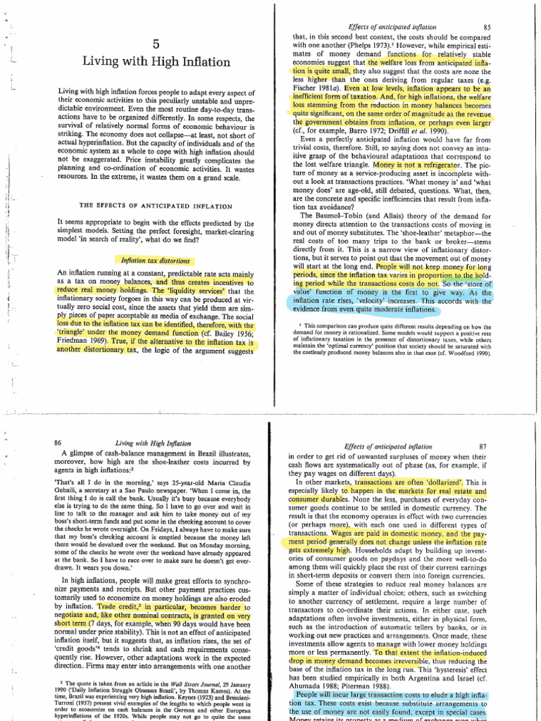 Daniel Heymann Axel Leijonhufvud High Inflation Cap5 | PDF