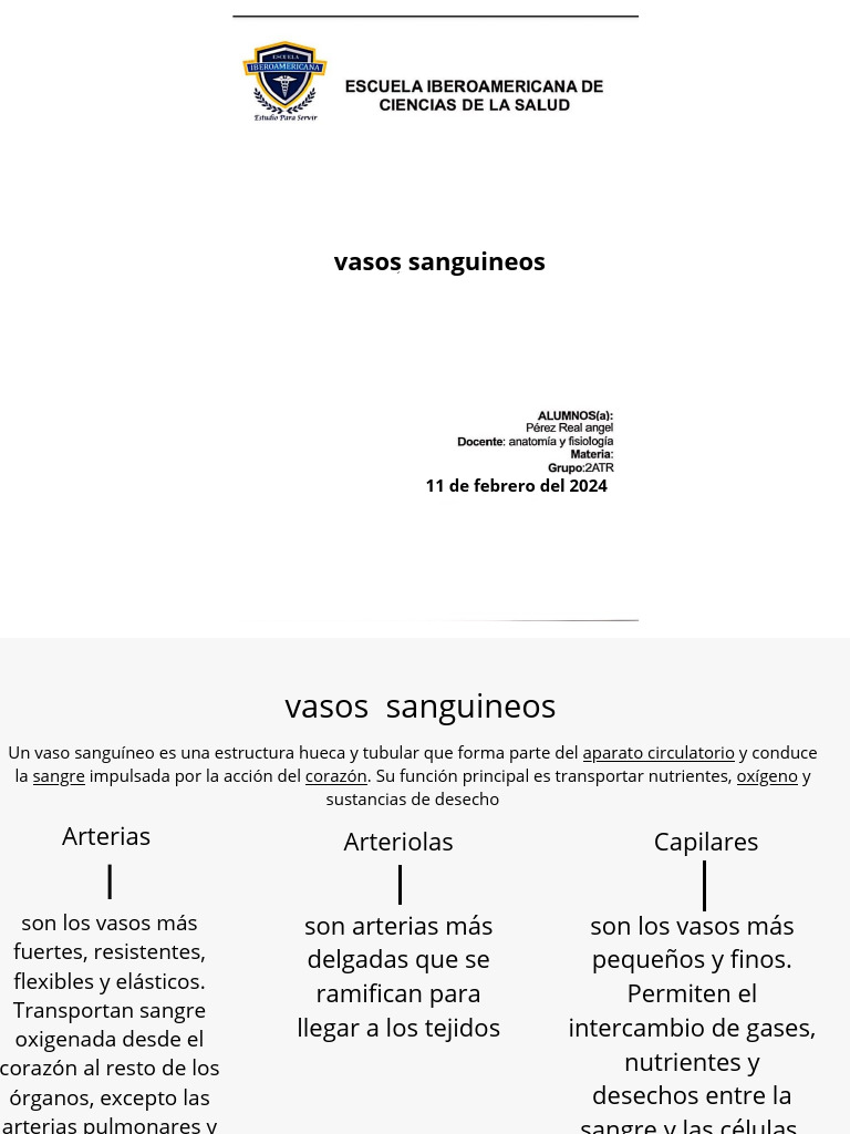 Colorful Minimalist Linear Steps Circular Diagram | PDF Colorful Minimalist Linear Steps Circular Diagram | PDF