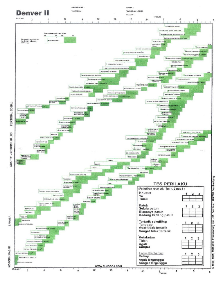 Formulir DDST Ii Denver Development Scre | PDF