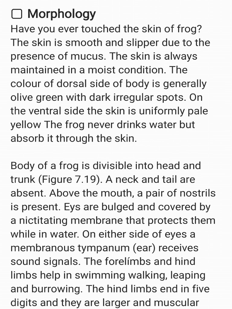 Frog Notes PDF | PDF