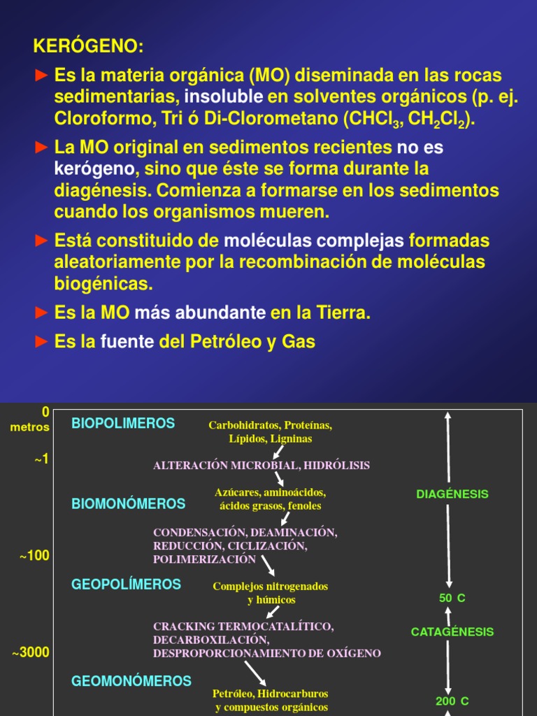 La formación y clasificación del kerógeno: el origen de la materia ...