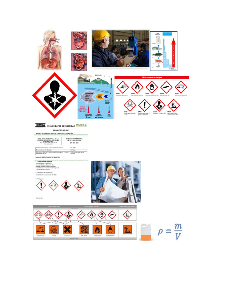 Cerp Nom 018 Stps 2015 | PDF