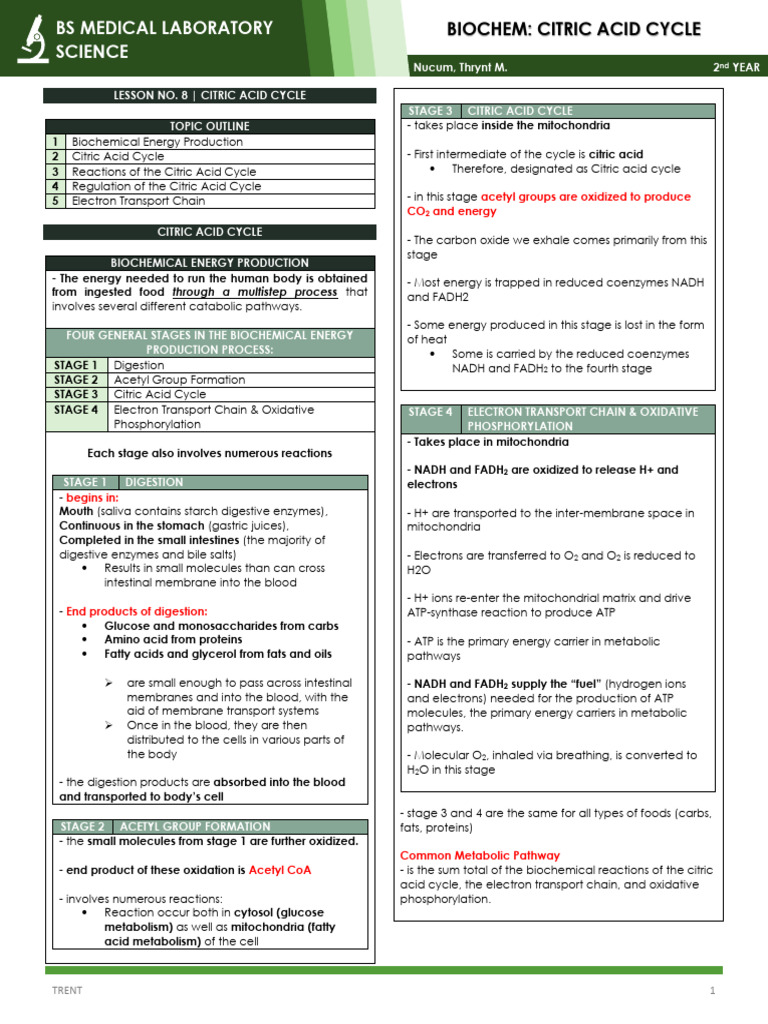 Lesson 8 Citric Acid Cycle Pdf Citric Acid Cycle Chemistry
