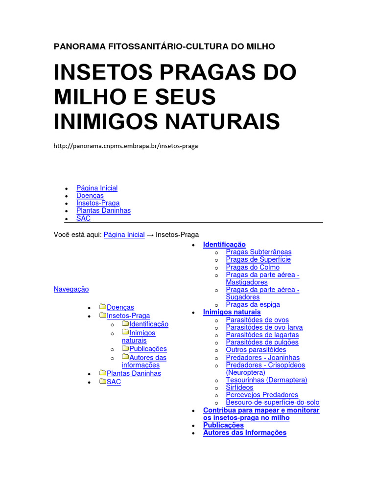 Insetos Pragas Do Milho e Seus Inimigos Naturais | PDF | Coccinellidae ...