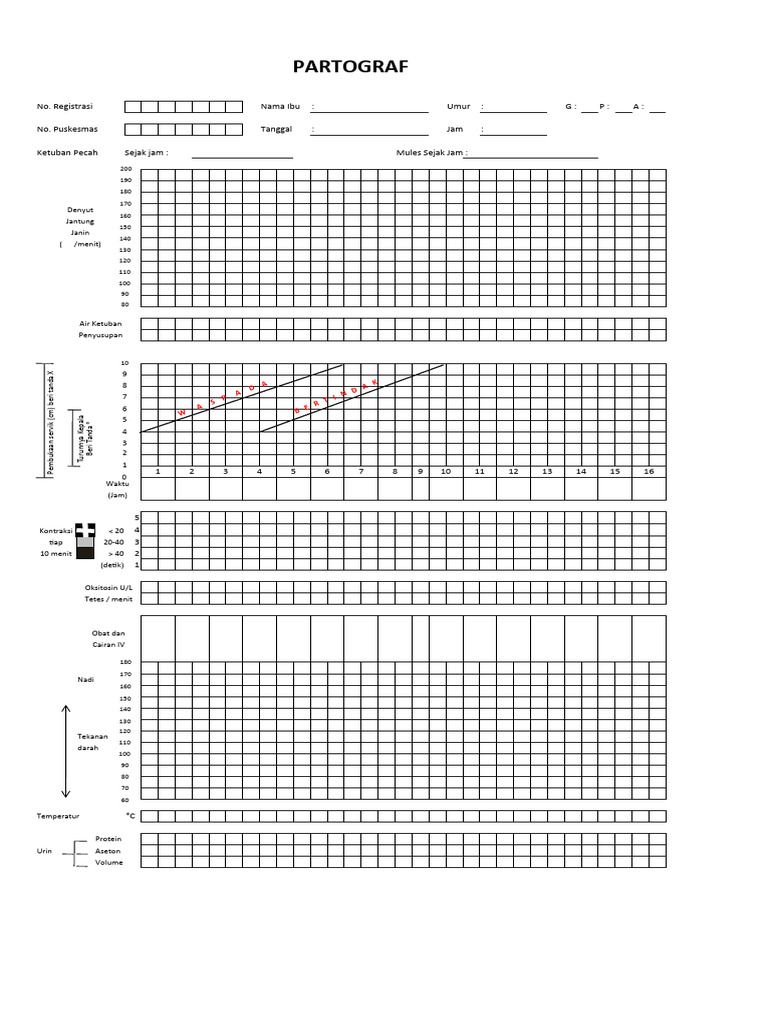 PATOGRAF | PDF