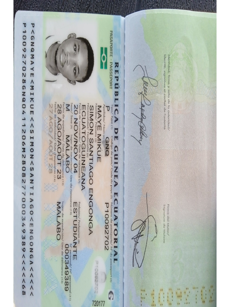 Pasaporte y Visado | PDF