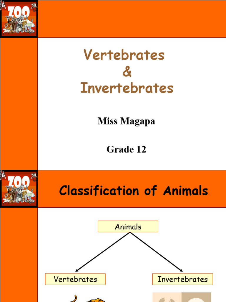 Introduction To Vertebrates - Ms Magapa | PDF | Invertebrate | Fish