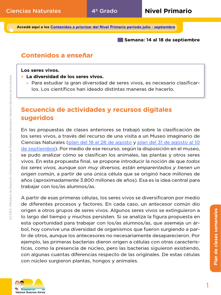 Plan Clases Prim Csnat 4 Q2sep | PDF | Plan de estudios | Organismos